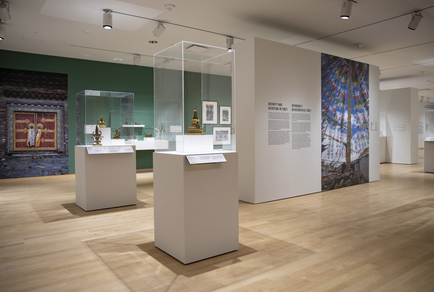 Exhibitions - Phoenix Art Museum