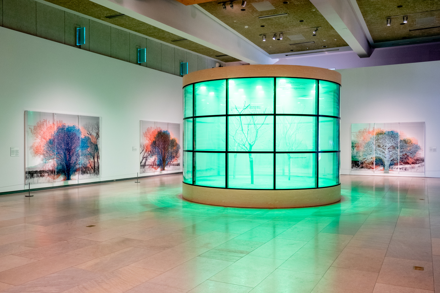 Phoenix Art Museum hosts Charles Gaines and Thelma Golden for Spring ...