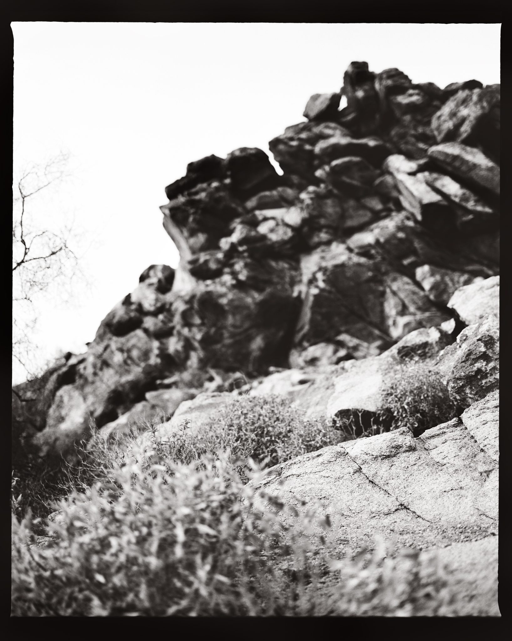 Phoenix Art Museum premieres newly commissioned work by Chemehuevi ...